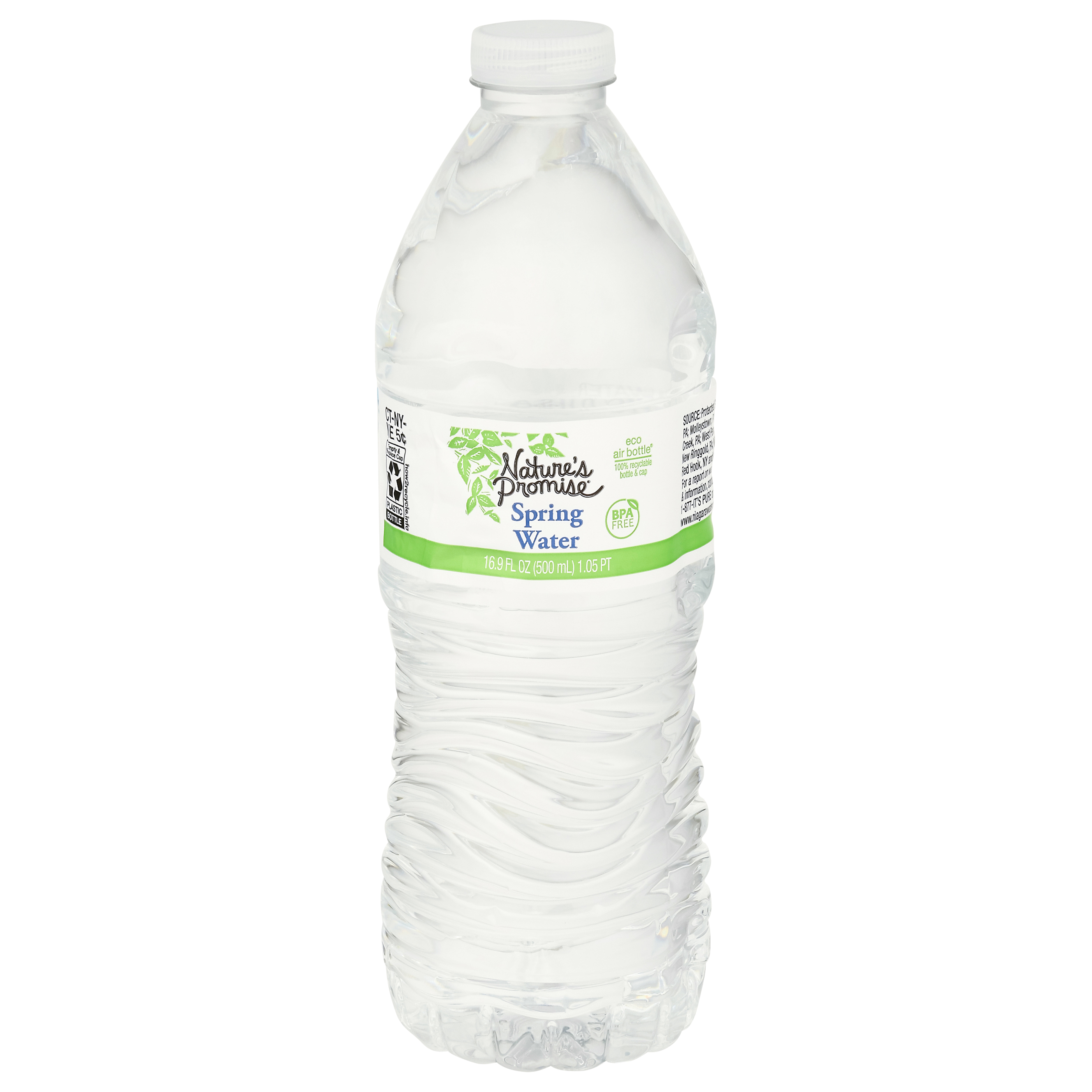 Nature's Promise Spring Water 16.9 fl oz